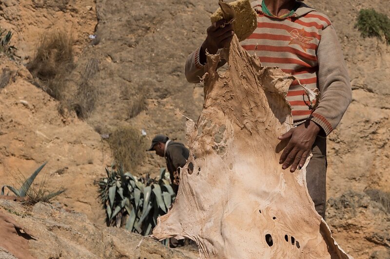 drying hides - Ed Wall Photography